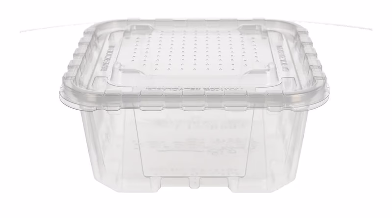 PL Live Animal Vented Tub 176x176mm (16 Pack) | Peregrine