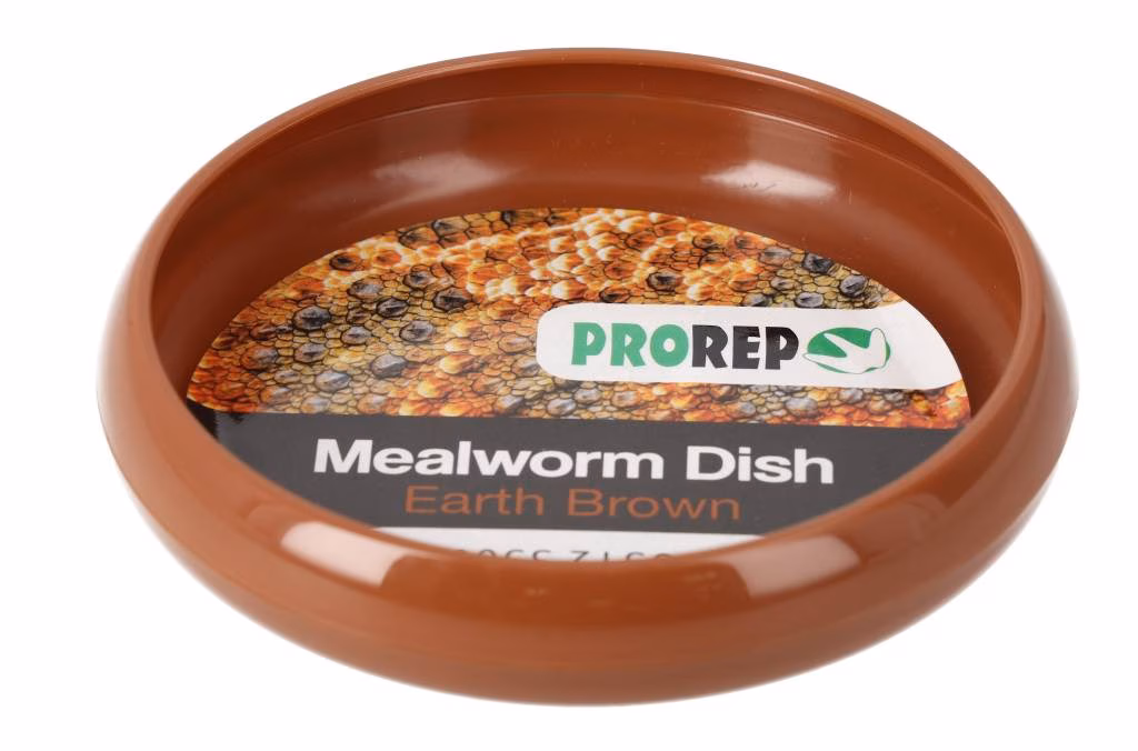 PR Mealworm Dish Earth Brown 75mm, WPM001 | Peregrine